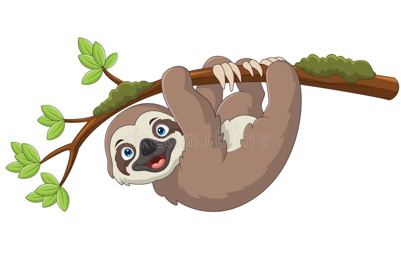 Cartoon Sloth Hanging on a Tree Branch Stock Vector - Illustration of ...