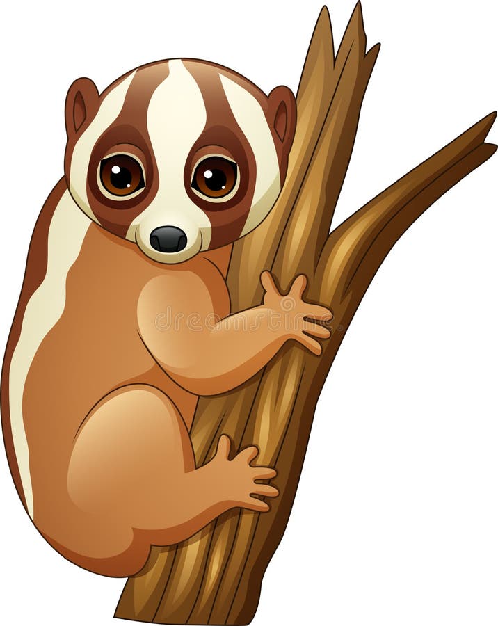 Cartoon Slow Loris on the Branch Stock Vector - Illustration of nature ...