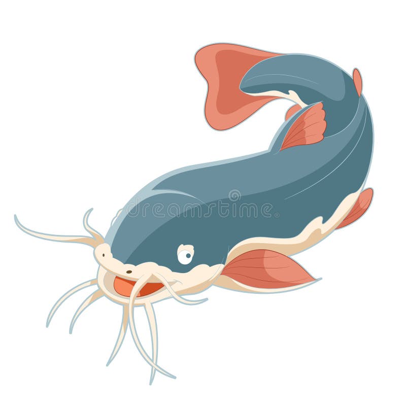 Smiling Catfish Stock Illustrations – 74 Smiling Catfish Stock ...