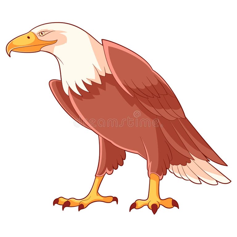 Cartoon Smiling Eagle stock vector. Illustration of baldeagle - 88132307