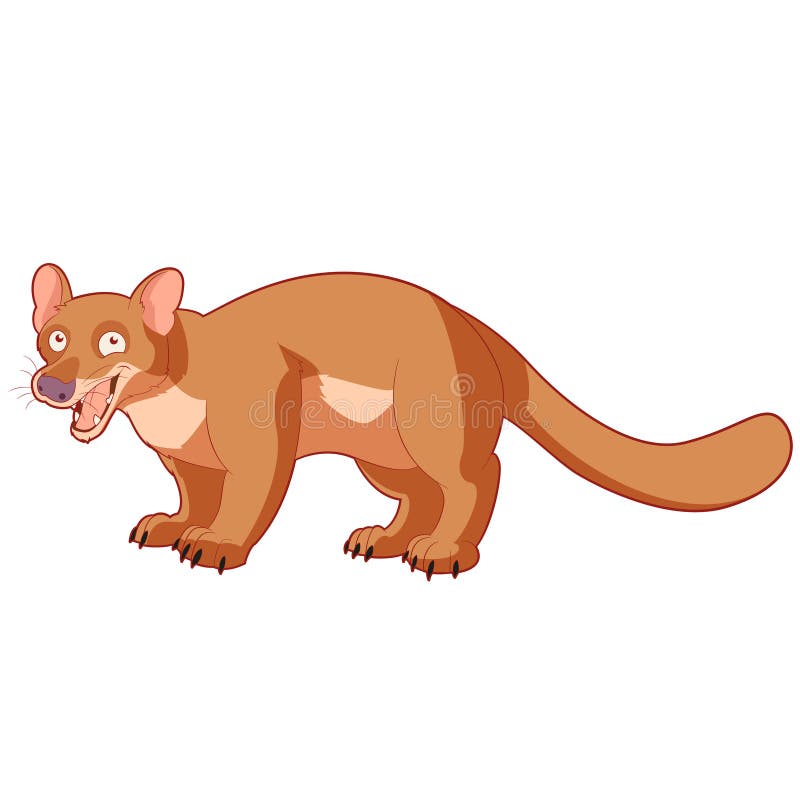 Cartoon smiling fossa stock vector. Illustration of cunning - 88132563