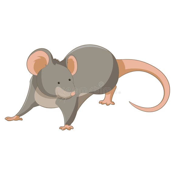 Cartoon smiling Mouse stock vector. Illustration of funny - 68961802