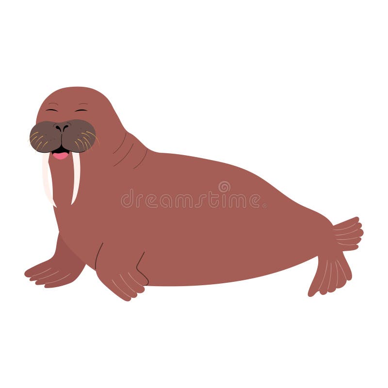 Walrus Smiling Stock Illustrations – 132 Walrus Smiling Stock ...