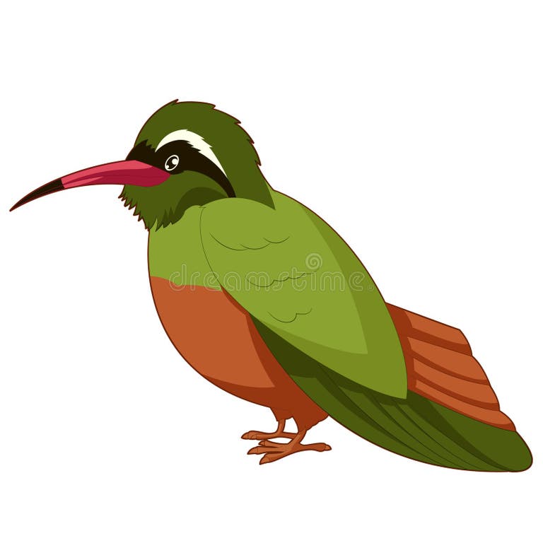 Xantus Stock Illustrations – 64 Xantus Stock Illustrations, Vectors ...