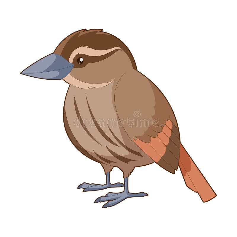 Cartoon smiling Xenops stock vector. Illustration of design - 69288139