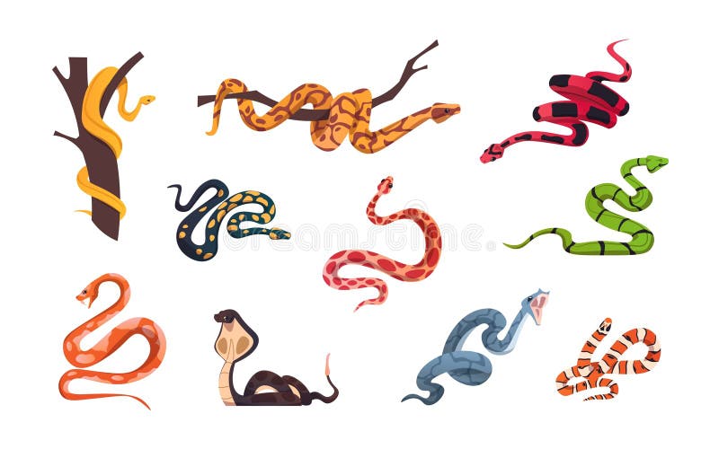 Cartoon Snakes. Tropical Poison Reptiles. Forest and Zoo Cold-blooded ...
