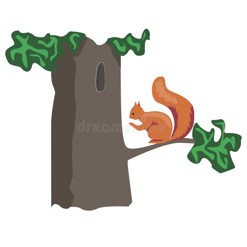 Red Squirrel Sitting Tree Branch Stock Illustrations 139 Red Squirrel