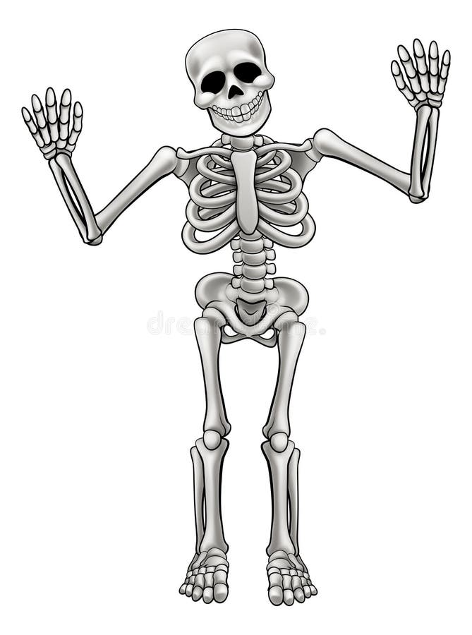 Cartoon Skeleton Body