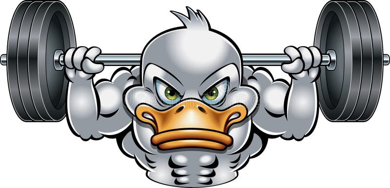 Cartoon Style Body Builder Weight Lifting Duck Stock Vector ...