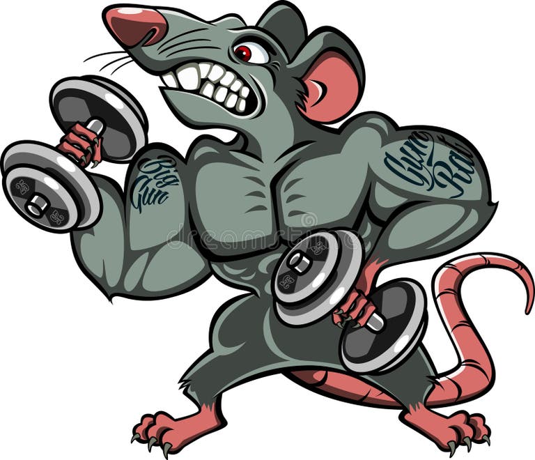 Cartoon Gym Rat Training with Dumbbell Weights Stock Vector ...