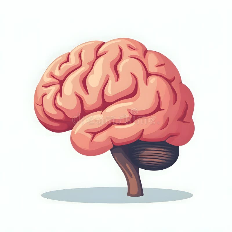 Cartoon Style Brain Illustration - Symbolizing Intelligence, Growth ...