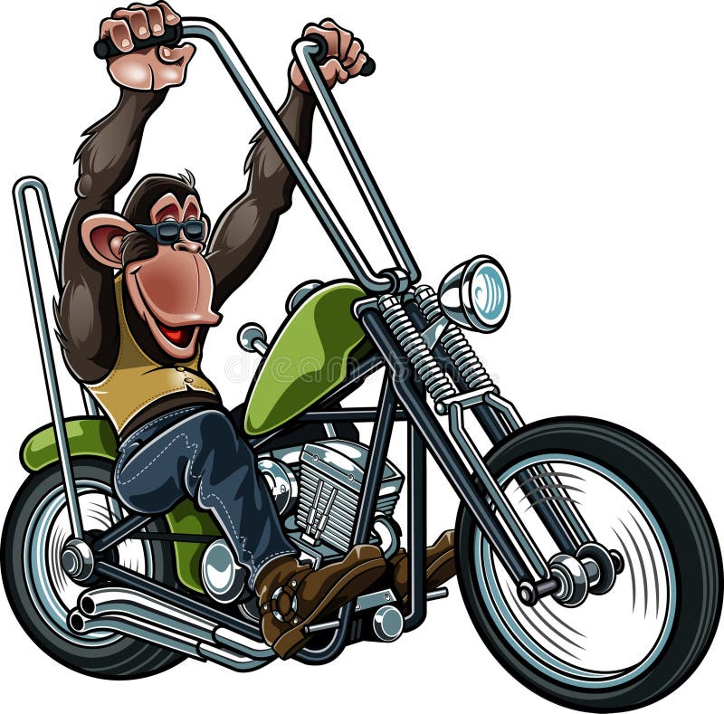 Cartoon Style Chimpanzee Driving a Chopper Motorcycle Stock Vector ...