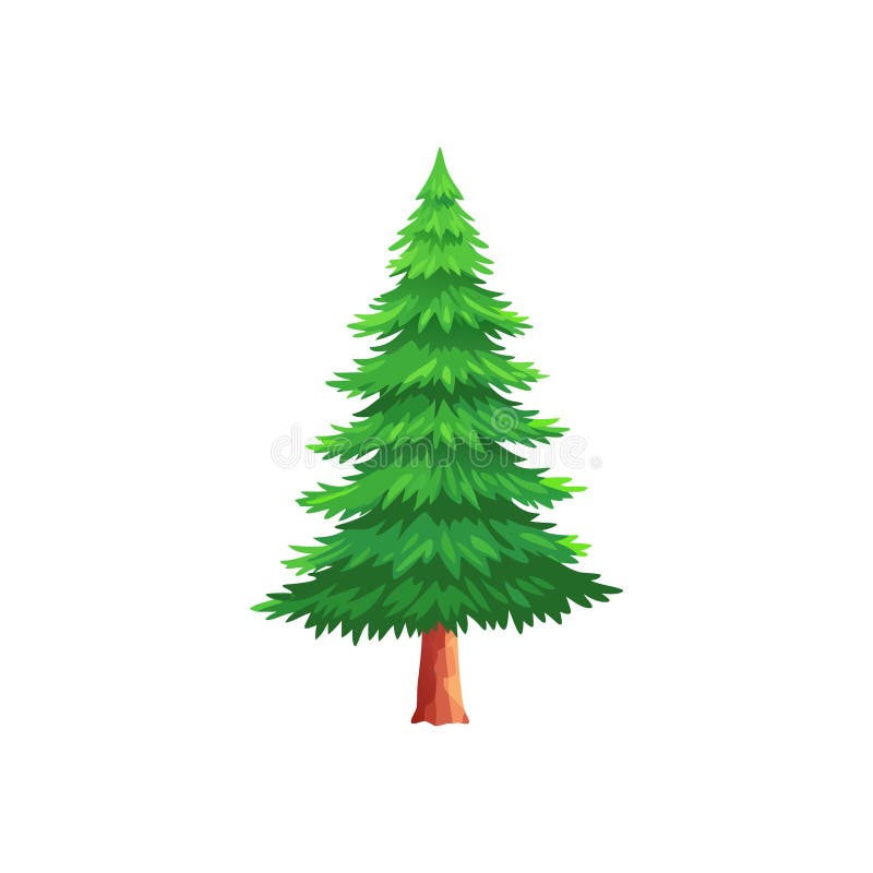 Cartoon Style Evergreen Tree Illustration on White Background for ...