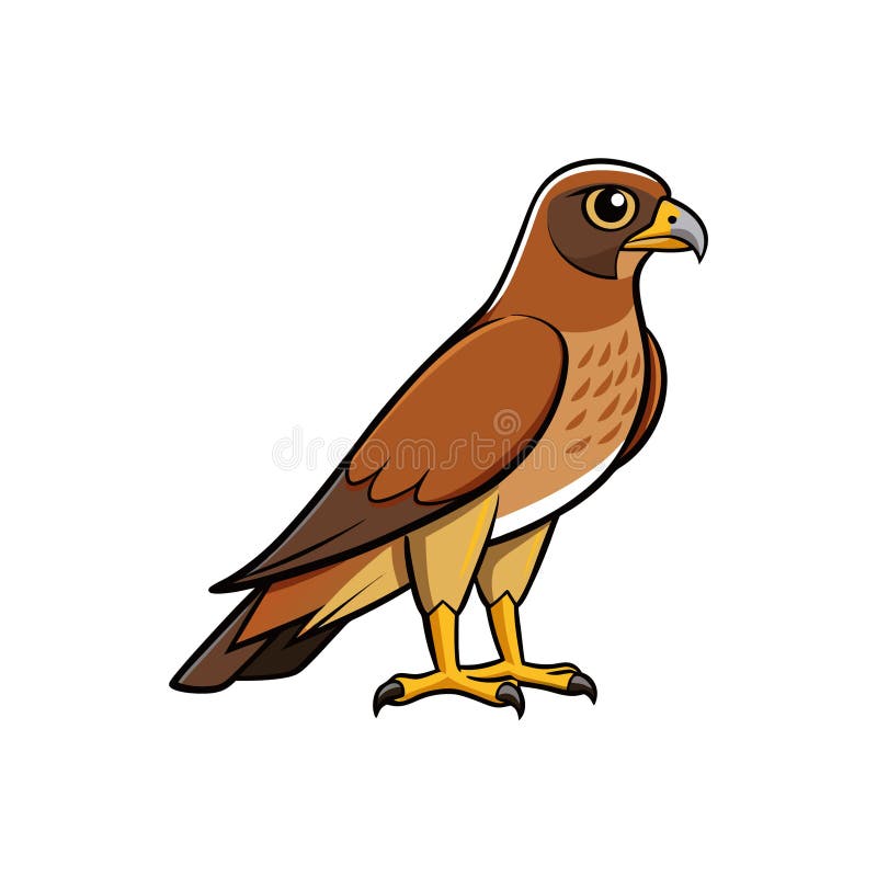 Cartoon Style Brown Hawk Standing, Isolated on a White Background Stock ...