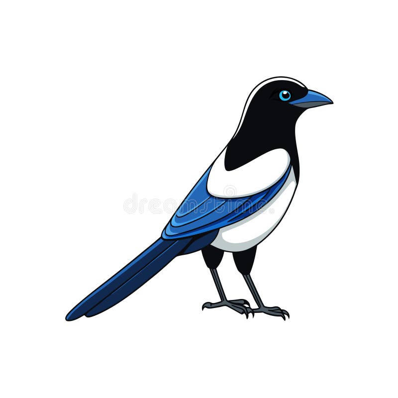 Cartoon Magpie Illustration Standing Profile Isolated on White ...