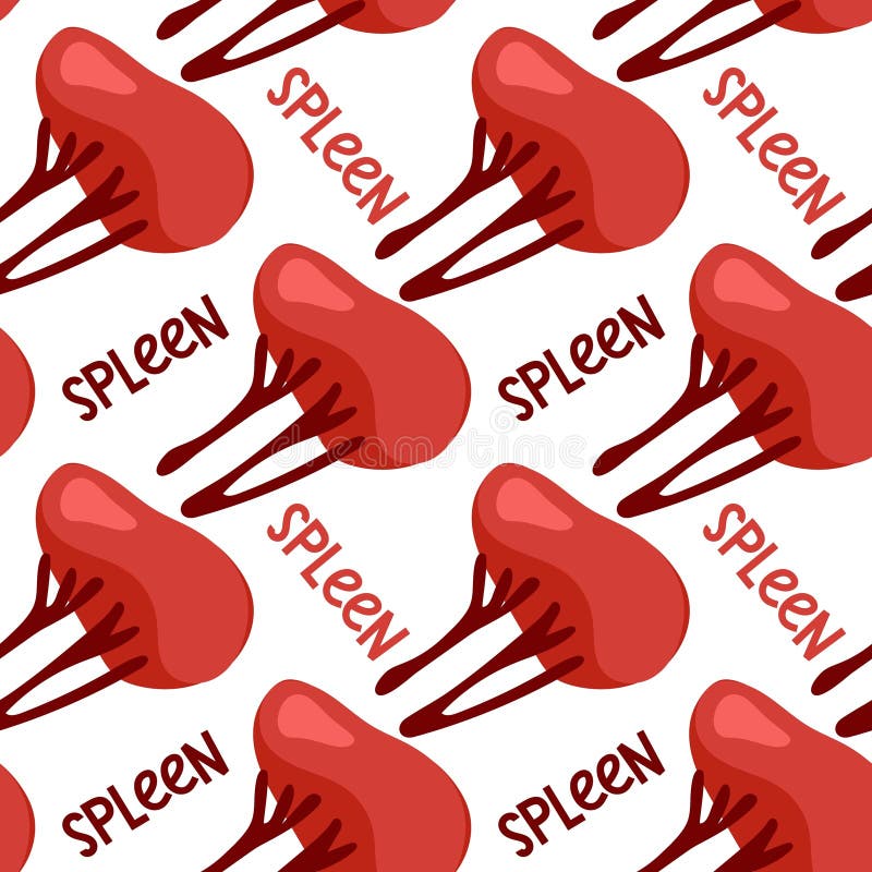 A Cartoon-style Pattern of a Human Spleen. Seamless Vector Repeating ...