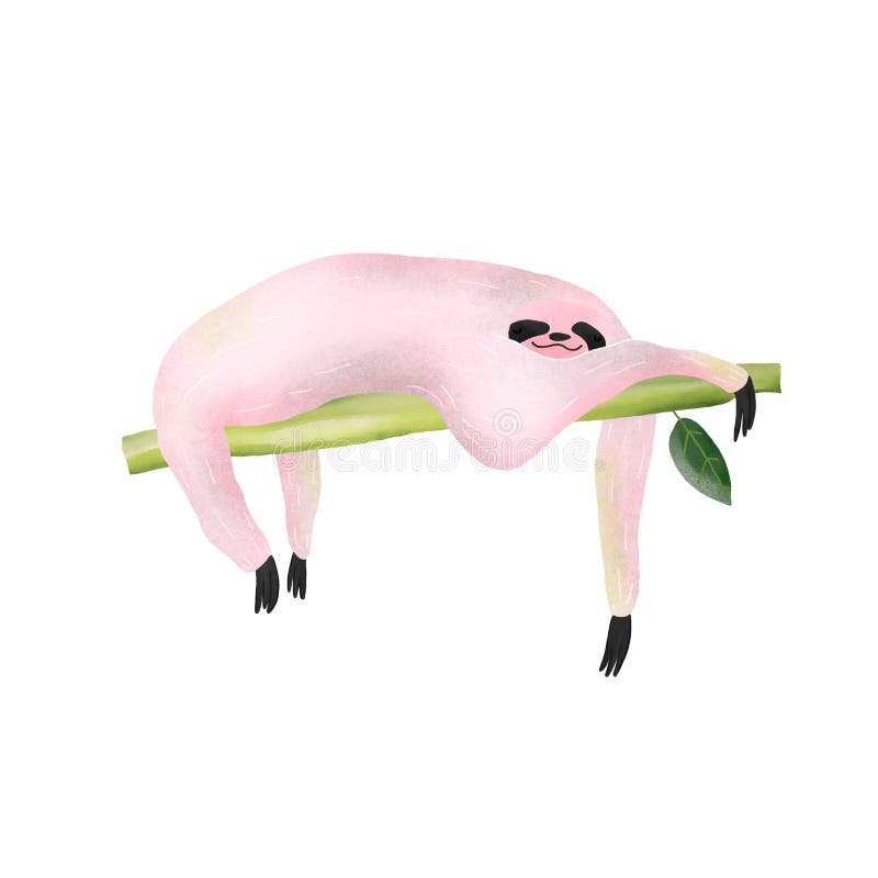 Sloth on Branch Textured Image. Cartoon Character Drawing Stock Image ...