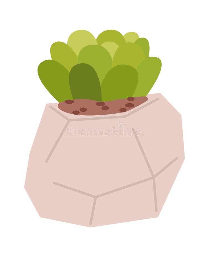 Cartoon Succulent Plant in Ceramic Pot Flat Icon Stock Vector ...