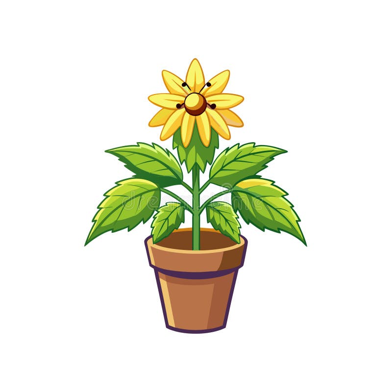 Cartoon Sunflower in Pot Isolated on White Stock Image - Illustration ...