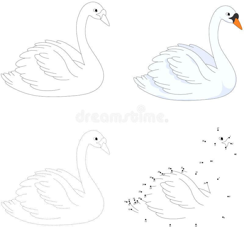 Cartoon Swan with Her Chicks. Color by Number Educational Game F Stock ...