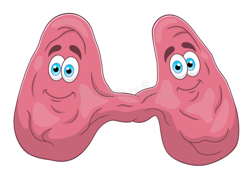 Cartoon Thyroid Stock Illustrations – 898 Cartoon Thyroid Stock ...