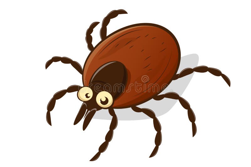 Vector Illustration of a Funny Cartoon Tick Stock Vector - Illustration ...
