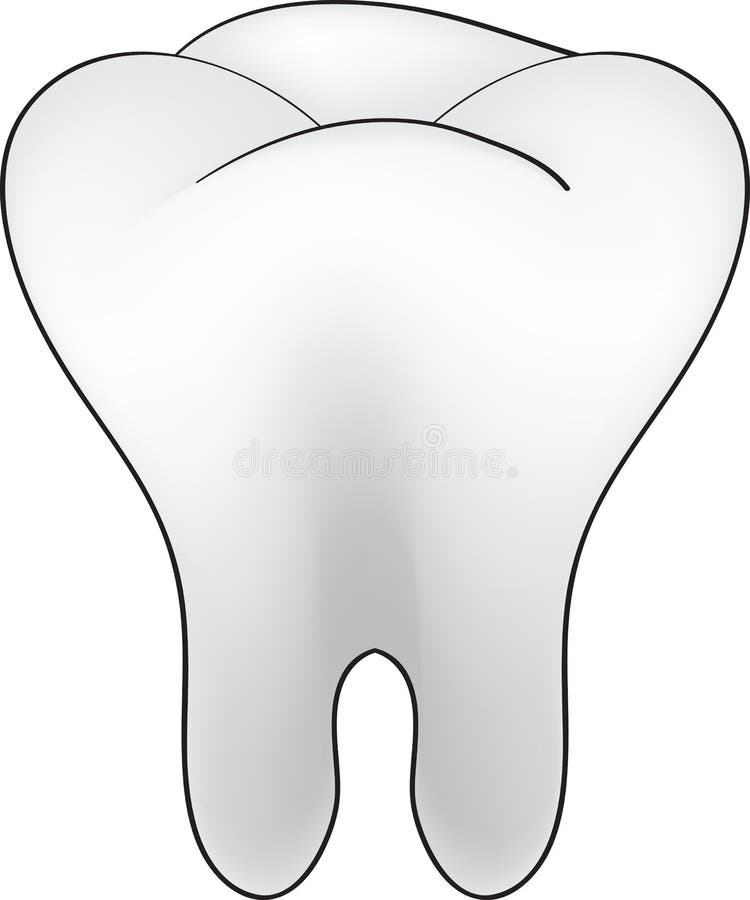 Cartoon Tooth Stock Vector - Image: 42246052