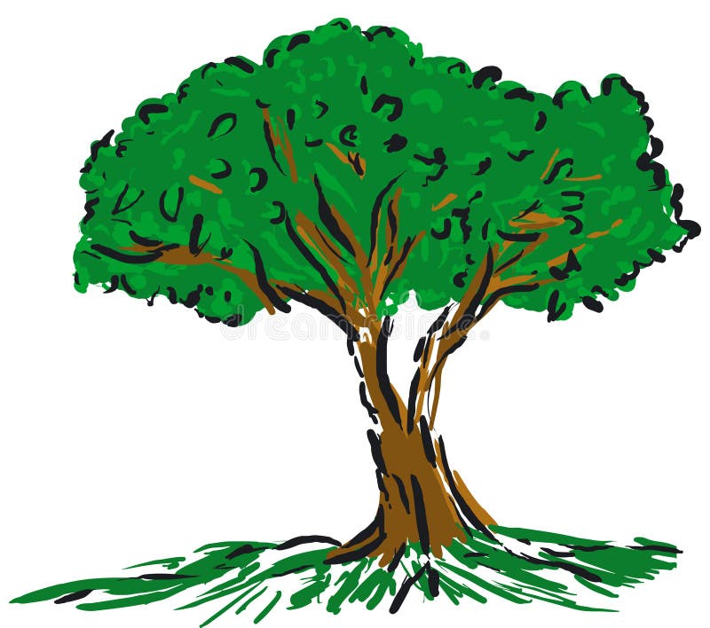 Vector Illustration Cartoon Tree Isolated Stock Vector - Illustration ...