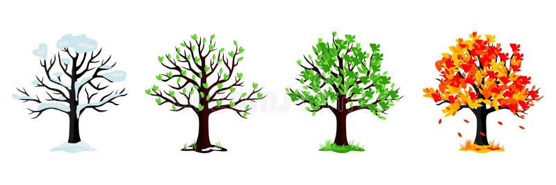 Cartoon Tree Collection. Set of Different Season Tree Stock Vector ...