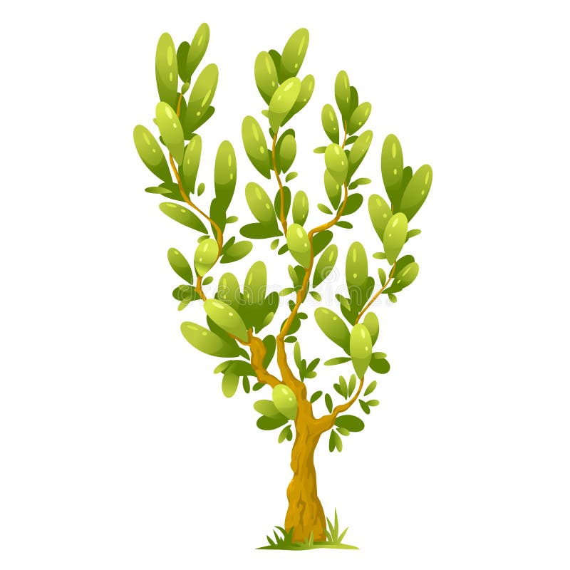 Cartoon Tree Elliptical Leaves Stock Illustrations – 9 Cartoon Tree ...