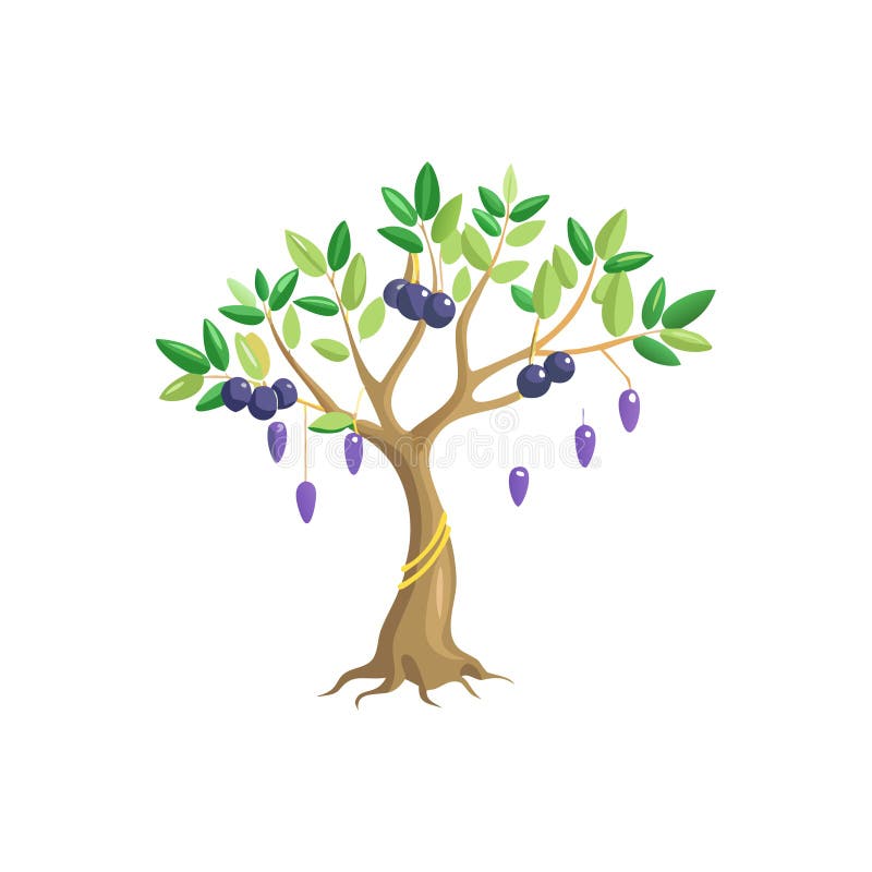Cartoon Tree with Olives and Hanging Fruit, Isolated on White Stock ...