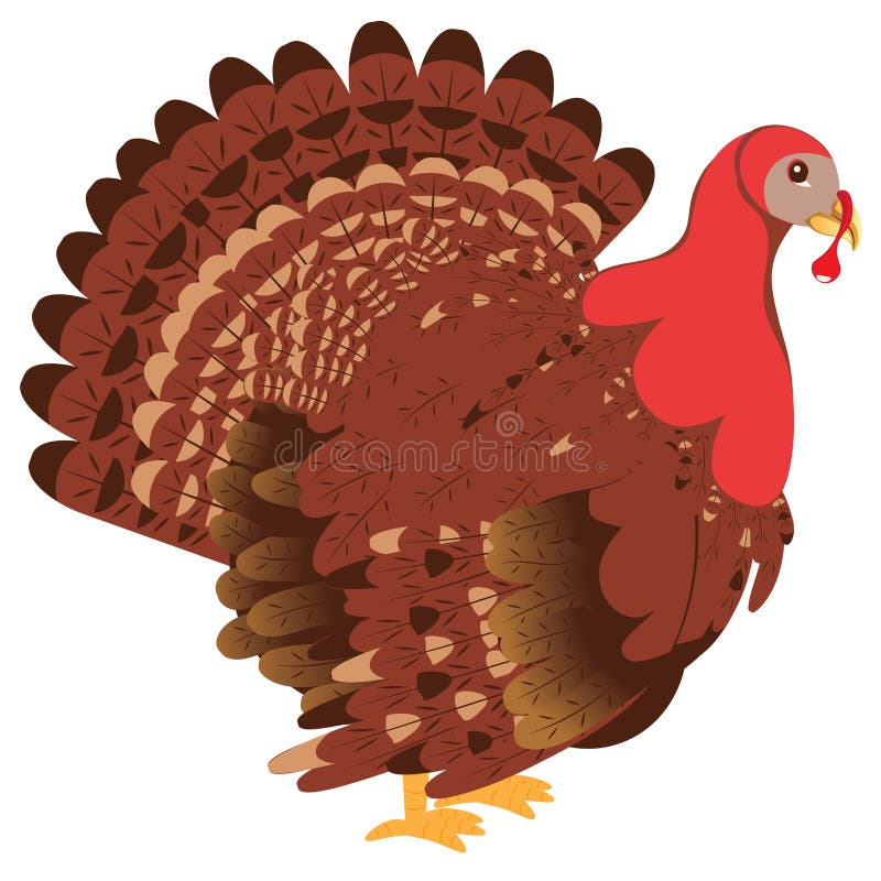 Cartoon Turkey Bird stock vector. Illustration of celebration - 62827009