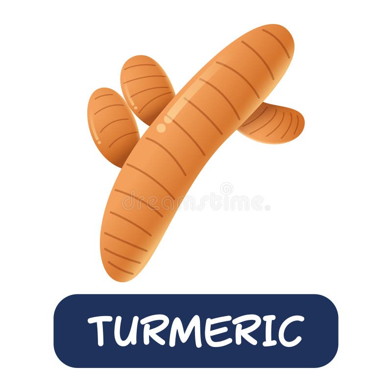 Cartoon Turmeric Vegetables Vector Isolated on White Background Stock ...