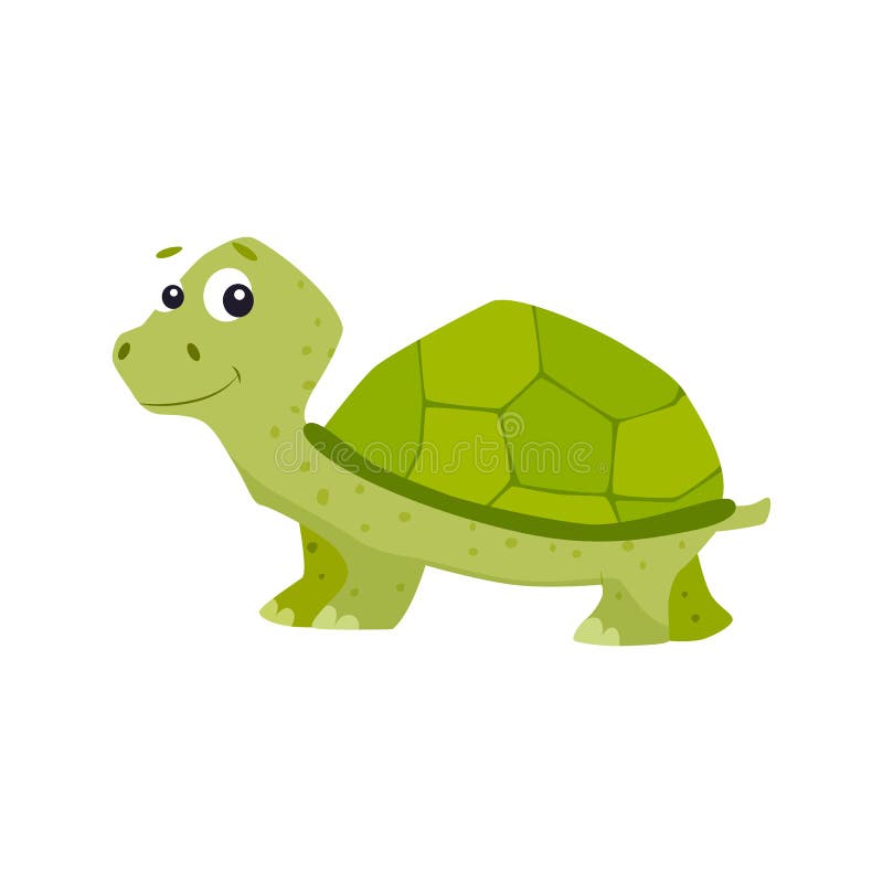 Cartoon Loggerhead Turtle Stock Illustrations – 258 Cartoon Loggerhead ...