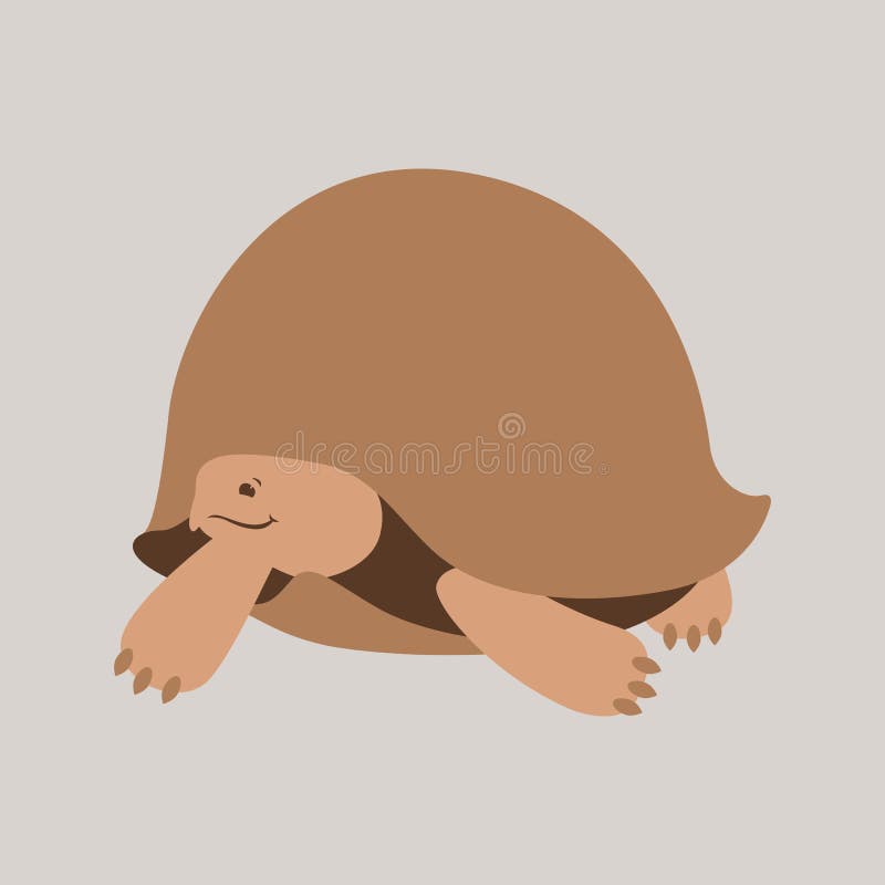 Cartoon Turtle, Vector Illustration,flat Style Stock Vector ...