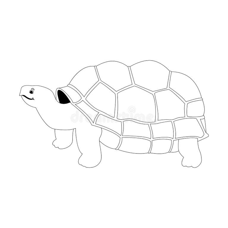 Cartoon Turtle Front Stock Illustrations – 485 Cartoon Turtle Front ...