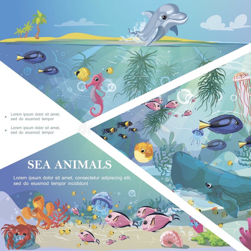 Sea Life Animals Plants Composition Stock Vector - Illustration of ...