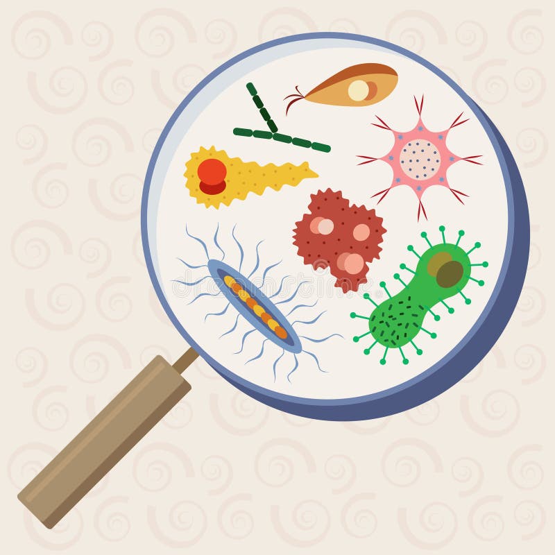Cartoon various microbes stock vector. Illustration of nucleus - 76705147