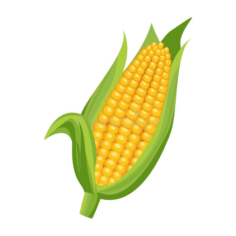 Cartoon Sweet Corn Stock Illustrations – 6,551 Cartoon Sweet Corn Stock ...