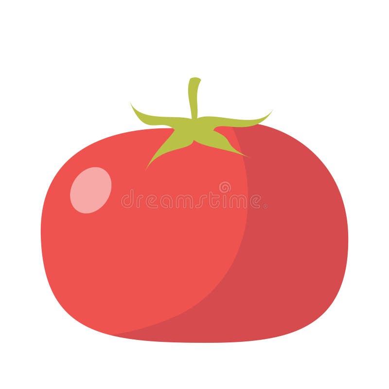 Cartoon Vector Illustration Isolated Object Fresh Fruit Tomato Stock ...