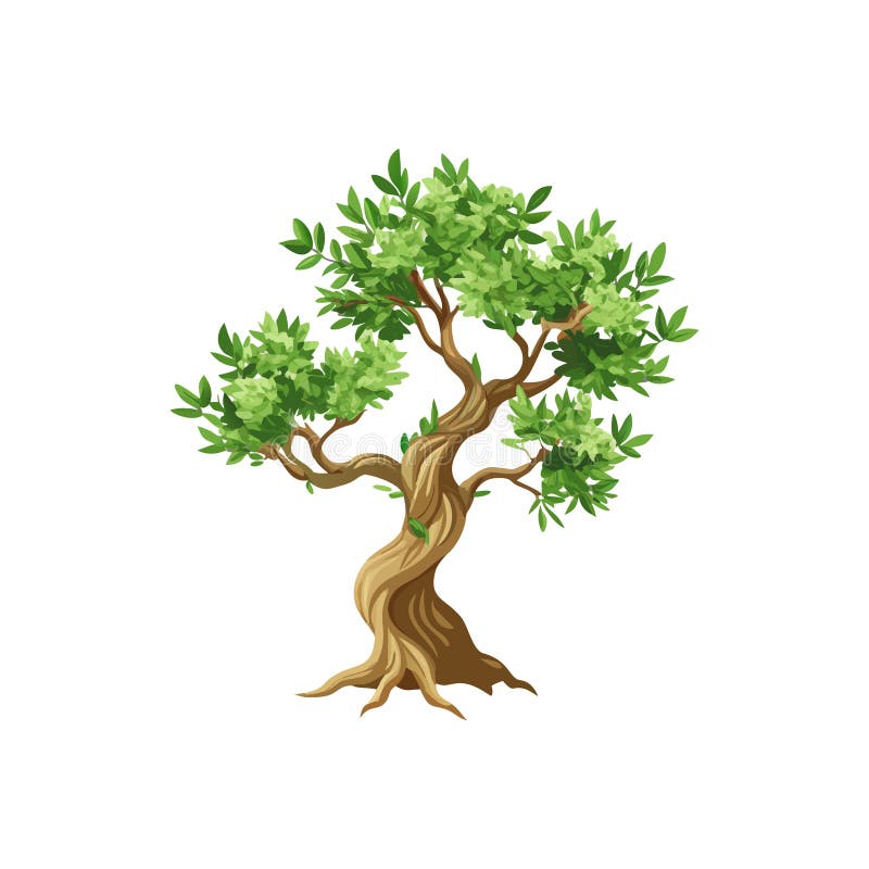 Cartoon Olive Tree Vector Illustration with Green Leaves and Twisted ...