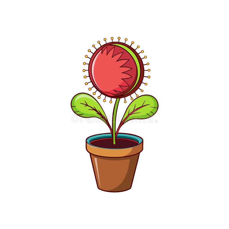 Cartoon Venus Flytrap in Pot Illustration Stock Image - Illustration of ...