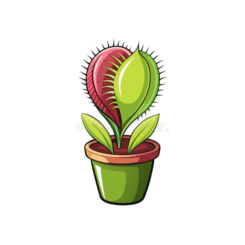 Cartoon Venus Flytrap in Pot Illustration Stock Illustration ...