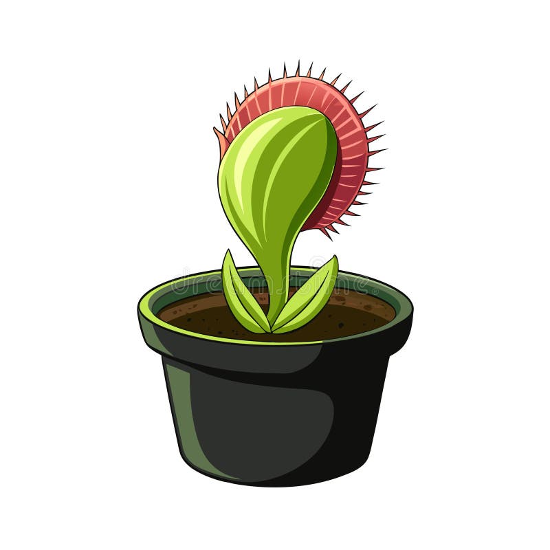 Cartoon Venus Flytrap Plant in Pot Illustration Stock Illustration ...
