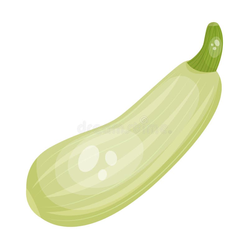 Cartoon Vers Groen Squash-pictogram. Vector Illustratie - Illustration ...