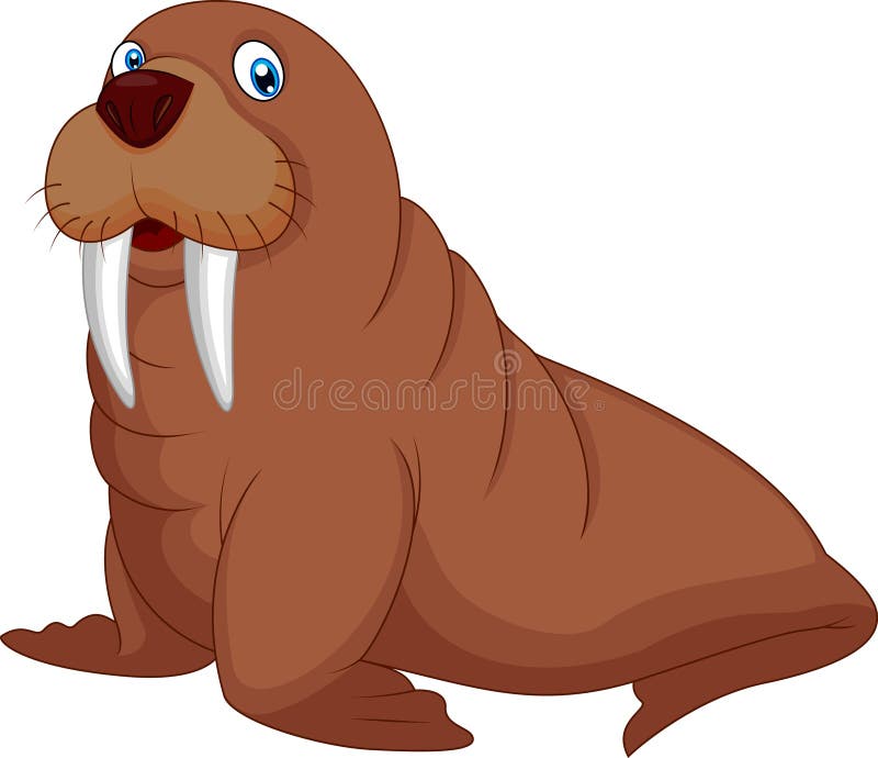 Cartoon walrus stock vector. Illustration of winter, teeth - 45855783