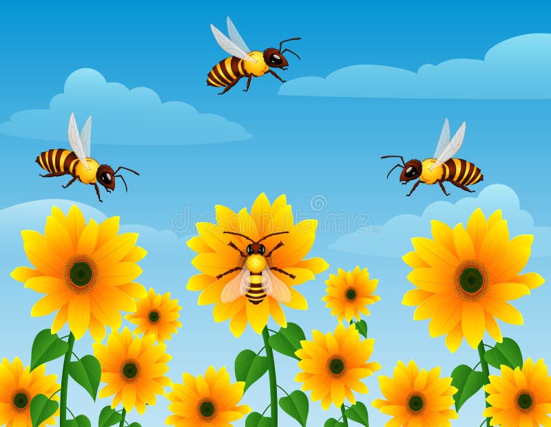 Cartoon Wasp Flying Over Sunflower Field Stock Vector - Illustration of ...