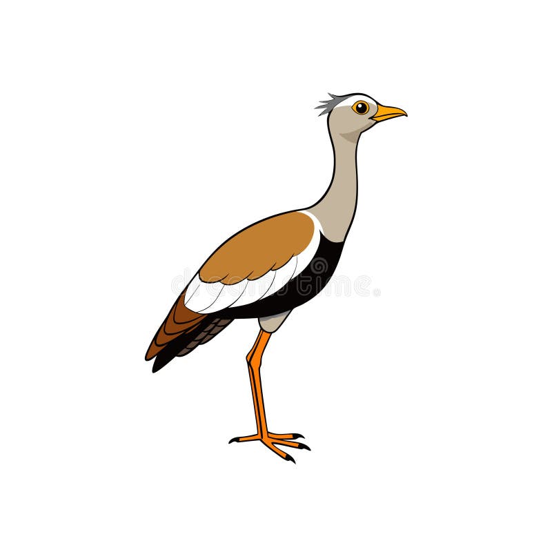 Cartoon Wattled Lapwing Illustration in Vector Format for Commercial ...