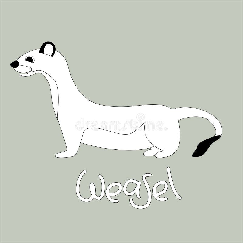Cartoon Weasel Vector Illustration, Linig Draw ,profile Stock Vector ...
