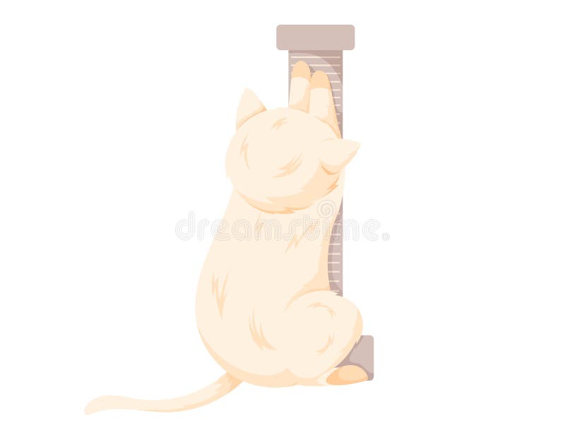 Cartoon White Cat with a Scratching Post. Vector Isolated Pet. Stock ...